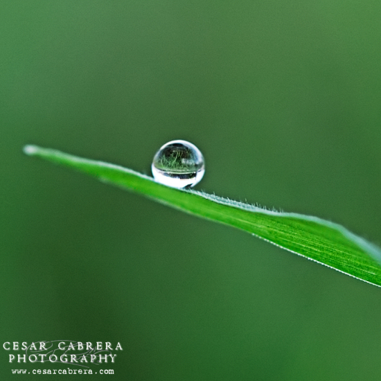 simple refrain | Quiet Hope